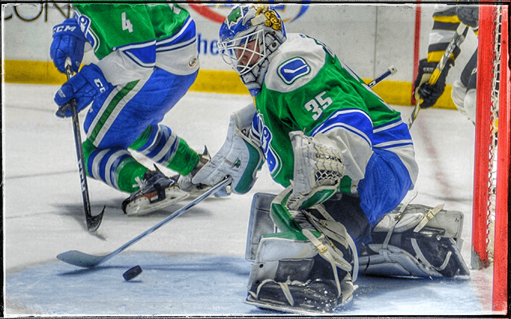 Comets Recall Michael Garteig From Kalamazoo and Release David ...
