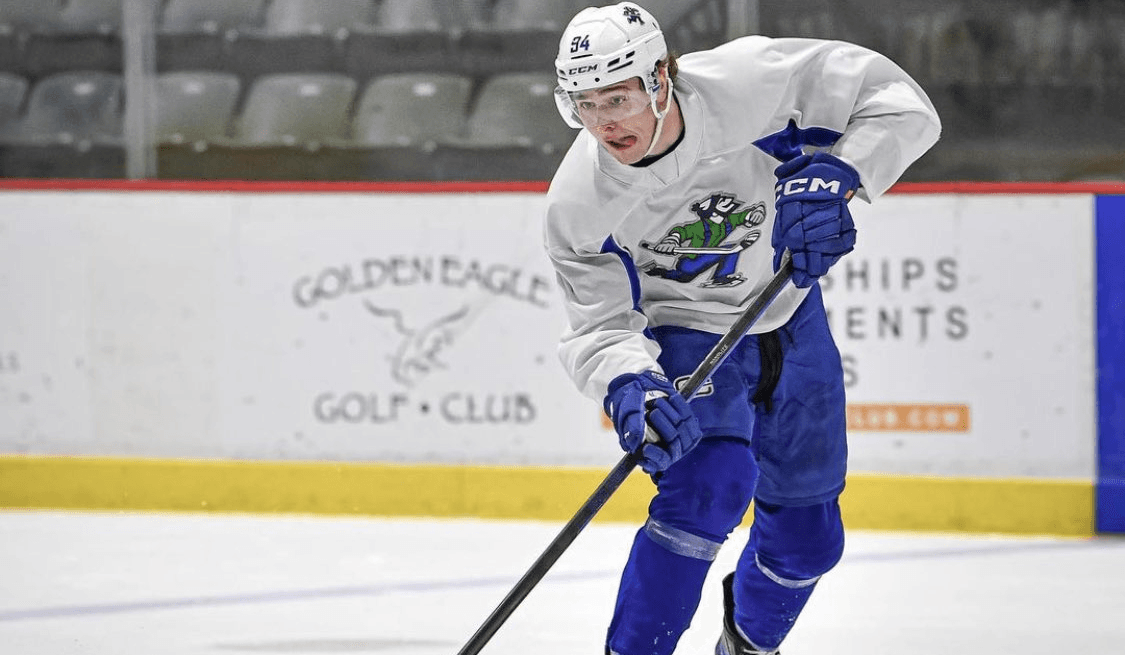 Examining Linus Karlsson’s successful adjustment to pro hockey in North ...