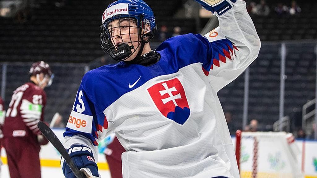 Dalibor Dvorsky is already being compared to Bo Horvat and could be the ...