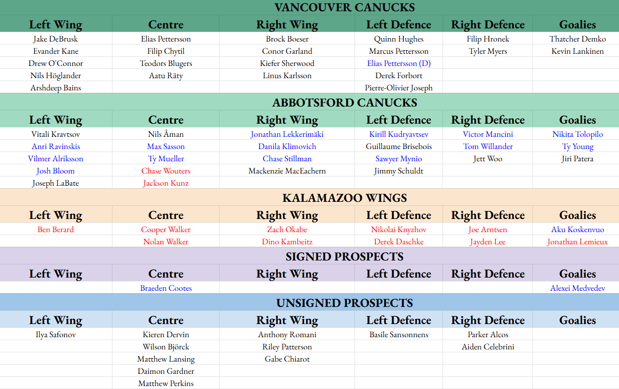 Blackfish: A Canucks organizational roster check-up heading into 2025-2026