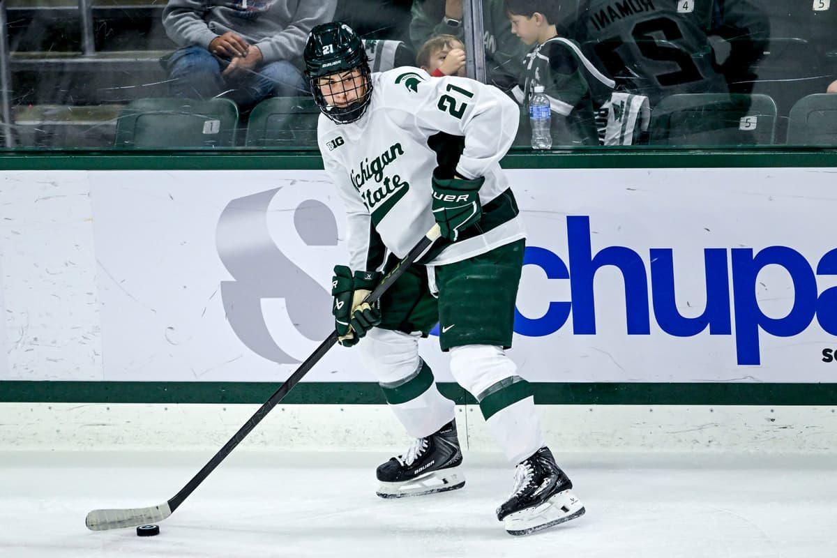 Canucks prospects Anthony Romani and Matthew Lansing eliminated from ...